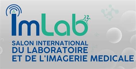 Article De Lecho Dalgerie Imlab 2023 Imlab