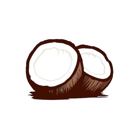 Ilustração De Fruto De Coco Cortado à Mão Vetor Premium