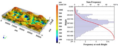 Three Dimensional Scanning Of The Surface Of Standard Specimens A