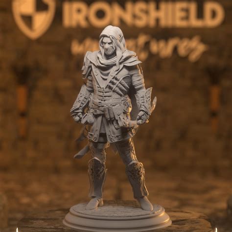 Sylvios Elf Rogue Thief Assassin Figure 14k Base Print 3d Rpg