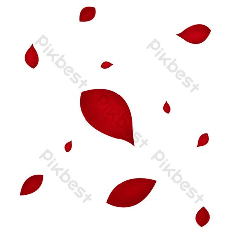 떠 다니는 꽃잎 붉은 장미 꽃잎 일러스트 PNG PSD 무료 다운로드 Pikbest