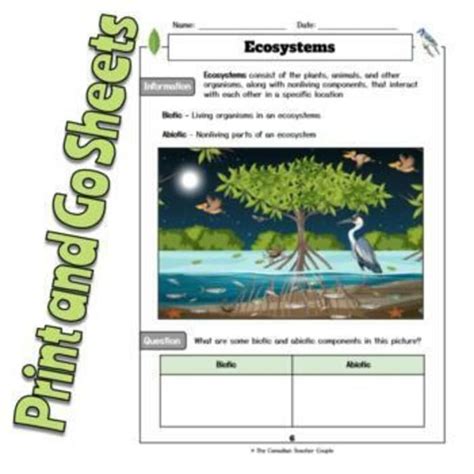 Grade 6 Science Ecology Unit New Alberta Curriculum Tpt