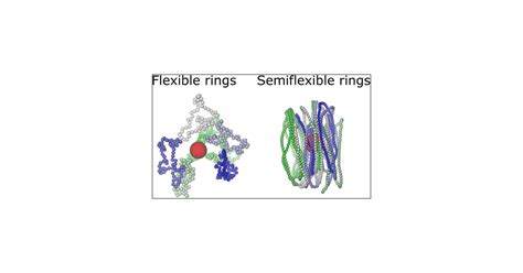Dynamics Of Nanoparticles In Solutions Of Semiflexible Ring Polymers The Journal Of Physical
