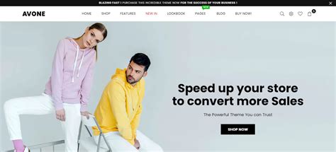 Best Shopify Subscription Theme For All Niches In 2023 Onecommerce