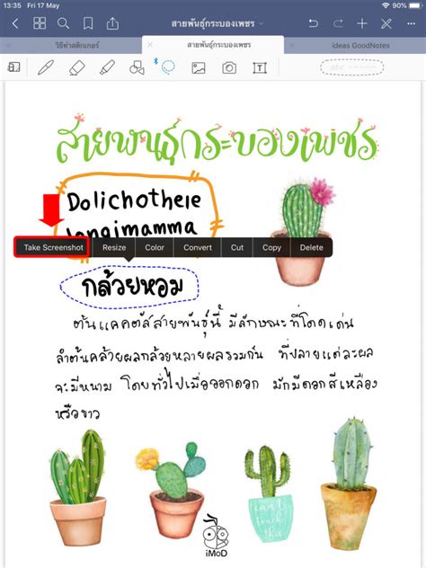 มารู้จักกับเครื่องมือ Lasso Tool ใน Goodnotes 5 ว่าทำอะไรได้บ้าง