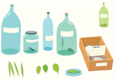 Specimen Collection Illustrations Royalty Free Vector Graphics And Clip Art Istock