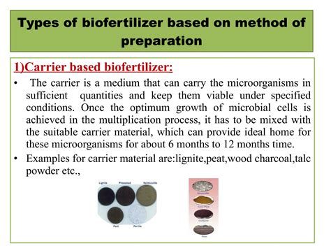 Methods Of Application Of Biofertilizerpptx