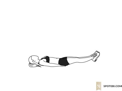 Reverse Crunches 