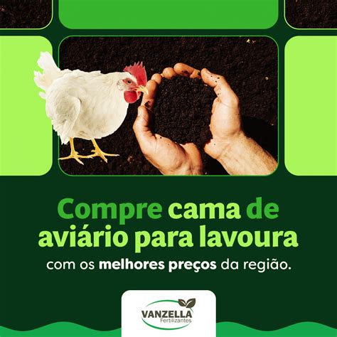 Social Media Vanzella On Behance