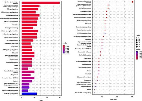 Analysis Of Differentially Expressed Inflammatory Response Related