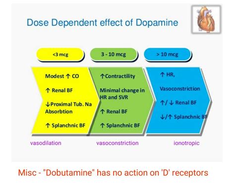 Dopamine Vs Dobutamine Dopamine Receptor Neonatal Anesthesia Critical Care Renal Cardiology