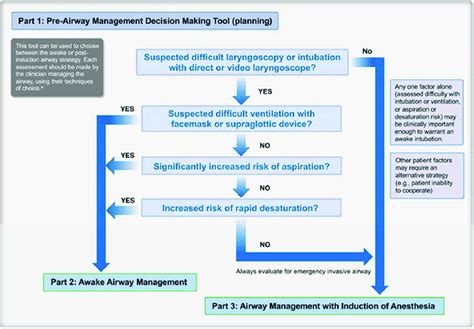 Anesthesia Guidelines For Surgery At Alyssa Hardwicke Blog