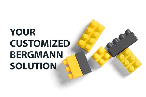 Custom Dumper Transportlösungen Bergmann Dumper