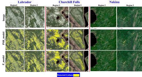 Two Samples Of Lichen Classification Maps Generated For Each Test Area