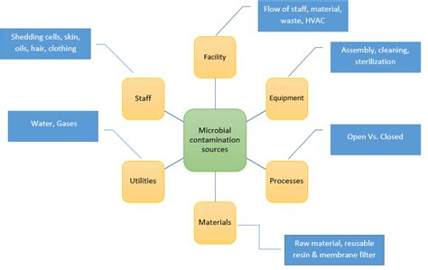 Contamination Control Strategy In The Manufacture Of Biologic Products