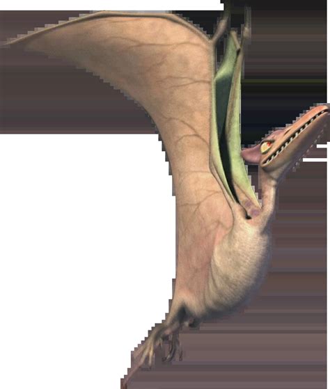 Roger Pteranodon Ice Age Wiki Fandom Powered By Wikia