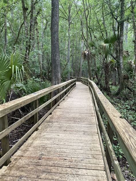 Jimmy King Gingy Onlyfans Account Best King Gingy Photos And Videos 153 For Free