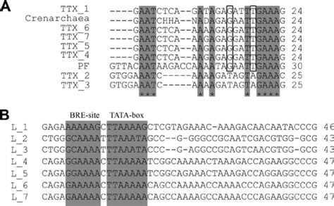 Conservation Of Repeat Elements And Leader Alignment Of Crispr Loci