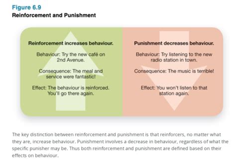 62 Operant Conditioning Learning Through Consequences Flashcards