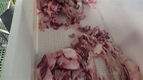 Meat Object Detection Dataset By Foreign Object Detector