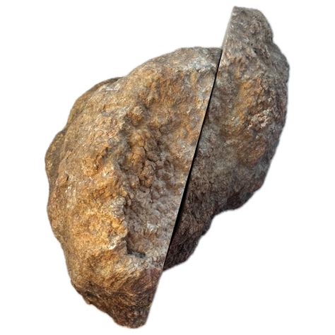 Dinosaur Coprolite Cut Base 17