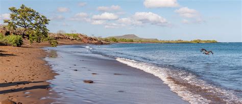 Floreana Island Tour Eagle Ray Tours Galapagos Island