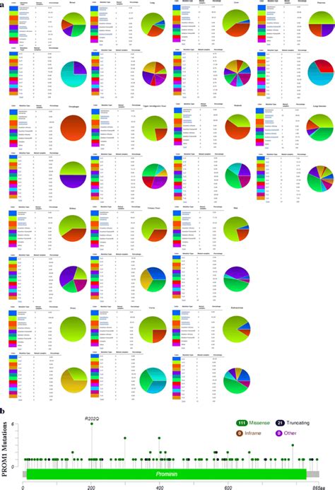 A Pie Chart Showing The Percentage Of The Mutation Type Of Cd133 In