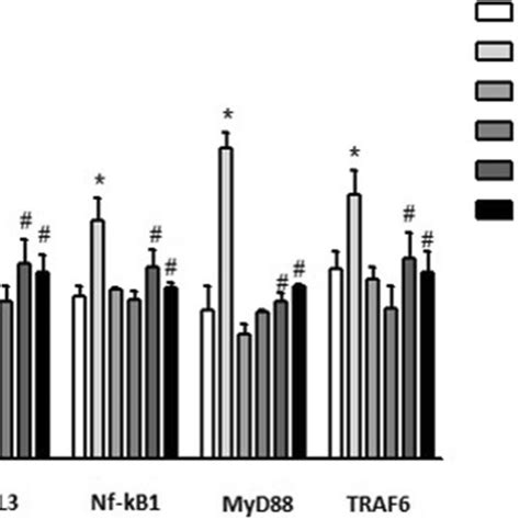 Roberto Berni Canani Chief Pediatric Allergy Program Chief