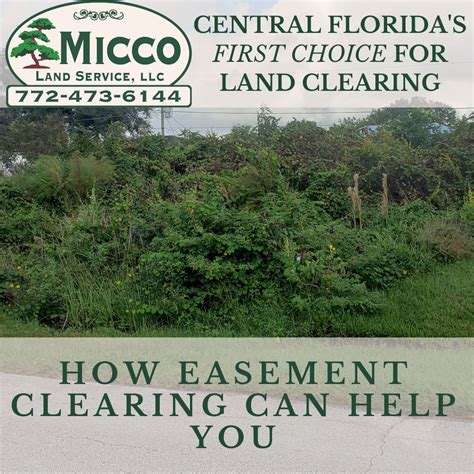 How Easement Clearing Can Help You • Micco Land Services Quality Land