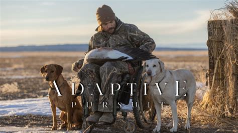 Adaptive Pursuit Youtube