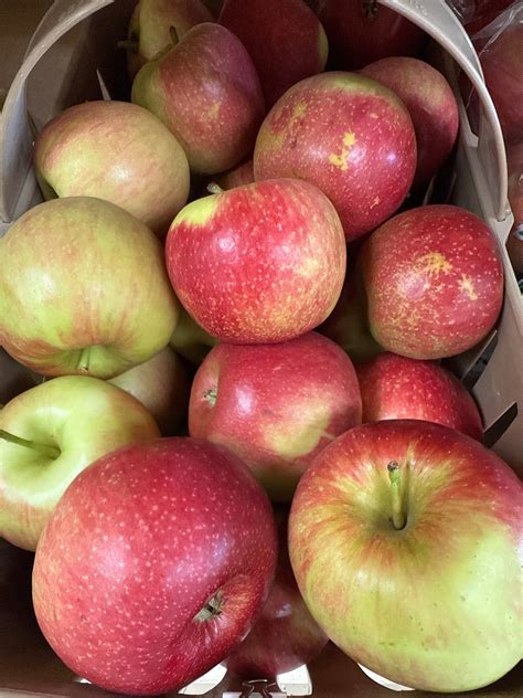 Autumn Crisp Apples Bu Gatewood Vegetable Farm And Greenhouses Inc
