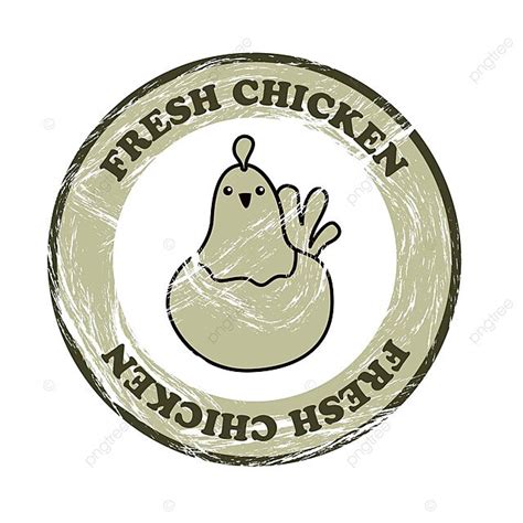 Fresh Chicken Feather Country Cattle Vector Feather Country Cattle