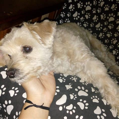 Rpier • Instagram Photos And Videos