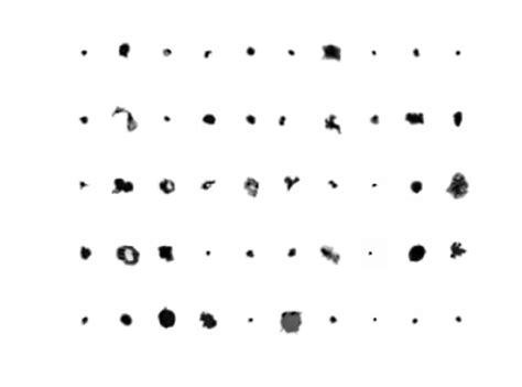 Examples Of Some Learned Features From Cnn Download Scientific Diagram