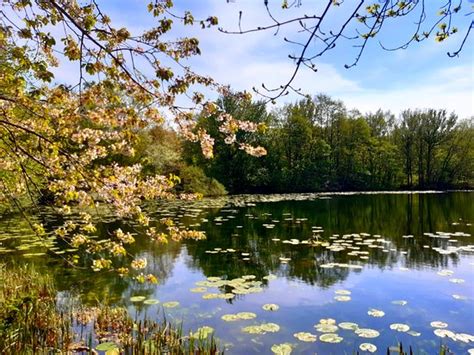 Sandwell Valley Country Park West Bromwich 2020 All You Need To