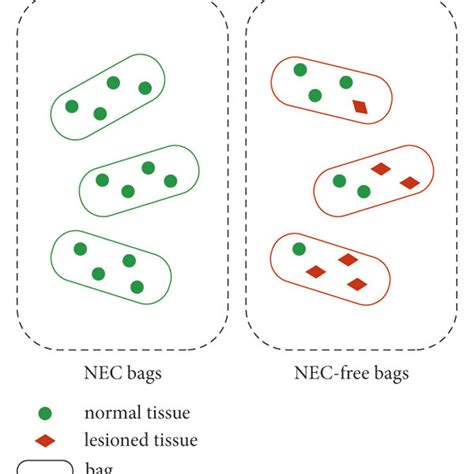 Binary Classification Mil Nec Bags Are Generated From Wsis With Nec