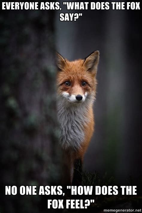 This Is What The Fox Says Meme