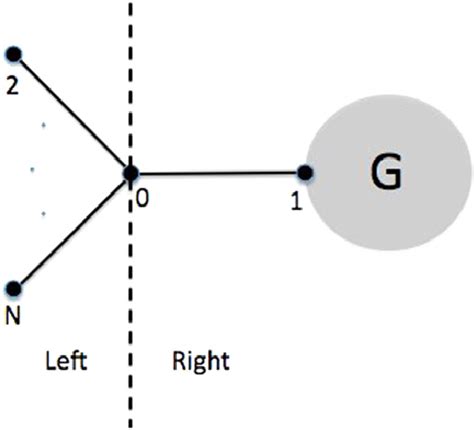 a star graph with an unspecified subgraph g [20] adapted from