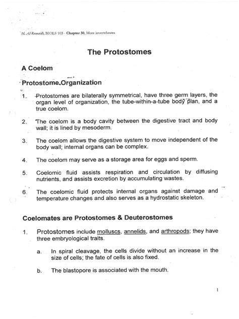 Protostome Pdf