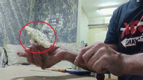 سيبك من الريمة والدود بالخبز حنصيد السمك الموجود Youtube