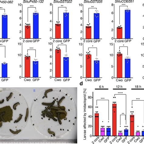 Rt Qpcr Analyses Of Core Circadian Gene Transcription In Larval