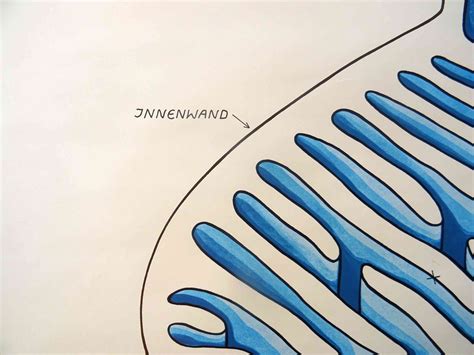 Vintage School Chart Mitochondrium I Submicroscopic Structures Of The Cell 70s Retro