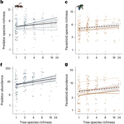 Sems Of Tree Species Richness Functional Traits Tree Fd And Cwm