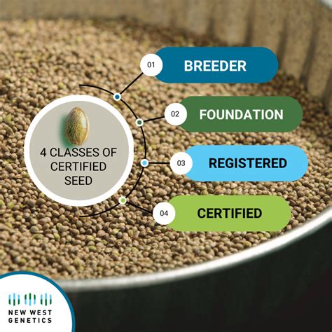 What Is Certified Seed New West Genetics