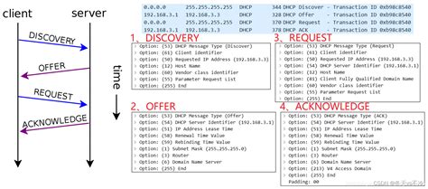 网络协议九:应用层(域名、dns、dhcp)网络协议及域名 Csdn博客 网络协议九:应用层(域名、dns、dhcp)网络协议及域名 Csdn博客