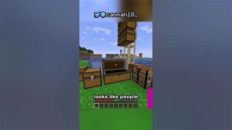 I Got Invited To A Minecraft Server Minecraft Camman Gaming Youtube