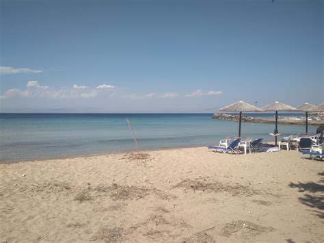 Vagia Beach Aegina Aegina Beaches Weloveaegina