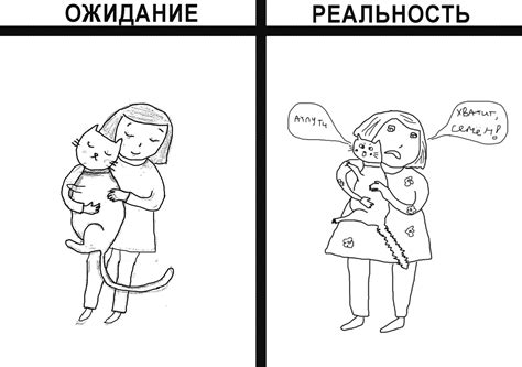 Коты | Пикабу