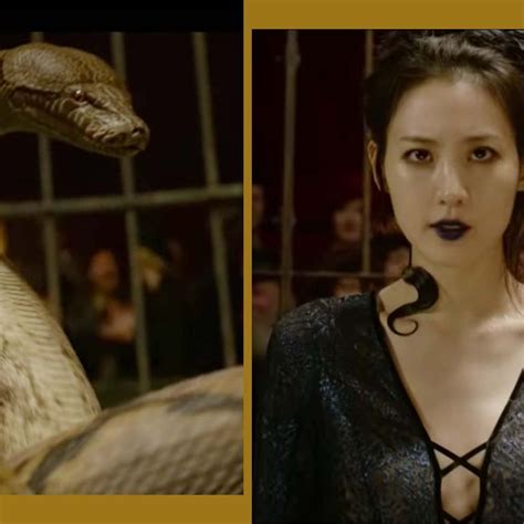 Nagini Harry Potter Image Nagini At Malfoy Manor Dining Table 