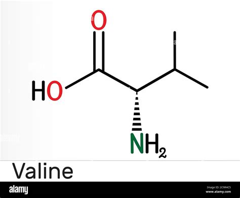 Valine Structural Formula